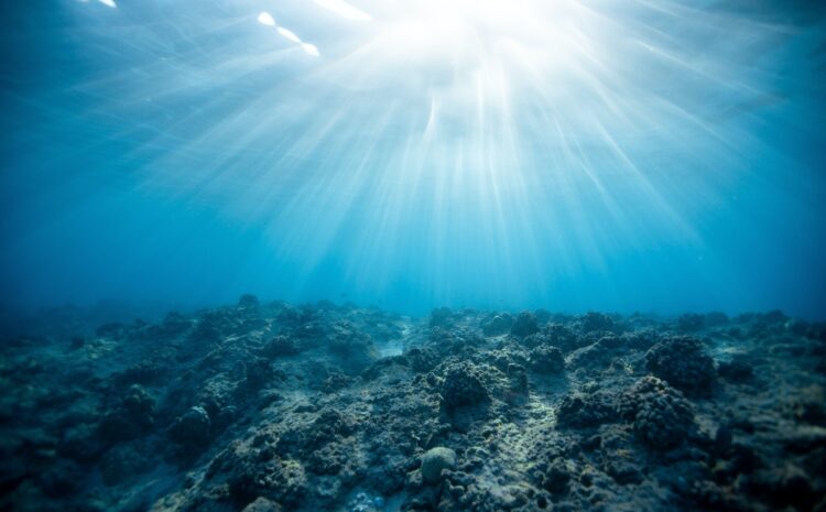 Científicos explican por qué el mar es salado